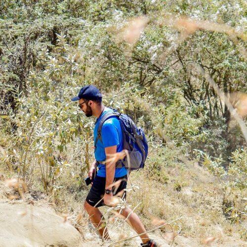 Best Time to Visit Masai Mara (Month by Month Guide) - Kifaru Discover ...